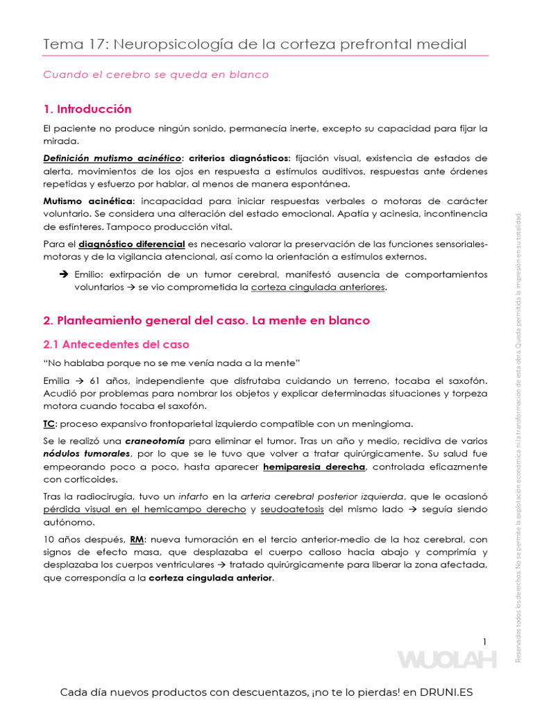 Mutismo Acinético: Diagnóstico y Rehabilitación | PDF | Cerebro | Las ...