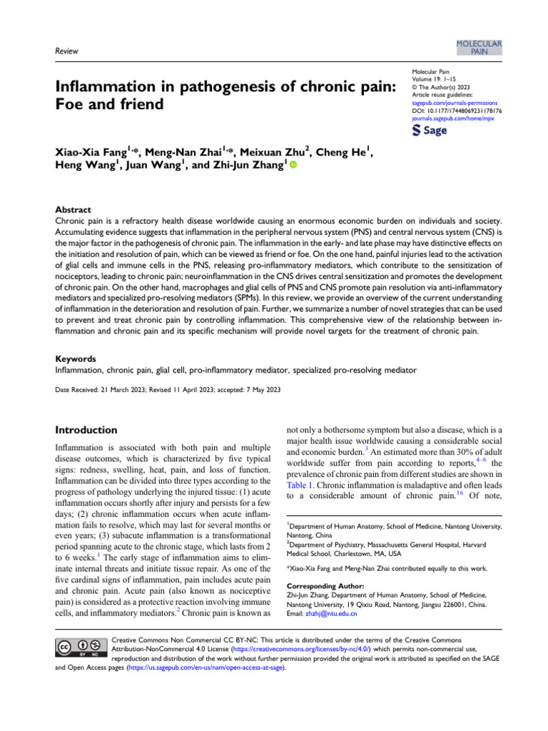 Inflammation in Pathogenesis of Chronic Pain: Foe and Friend | PDF ...
