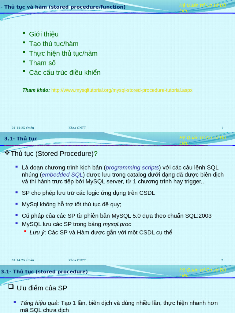 C 3 Stored Procedure | PDF