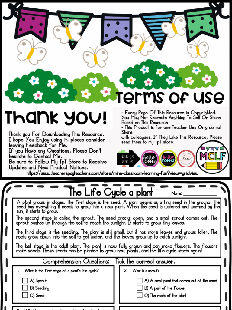 Life Cycle of A Plant Reading Comprehension Passage | PDF | Seed | Plants