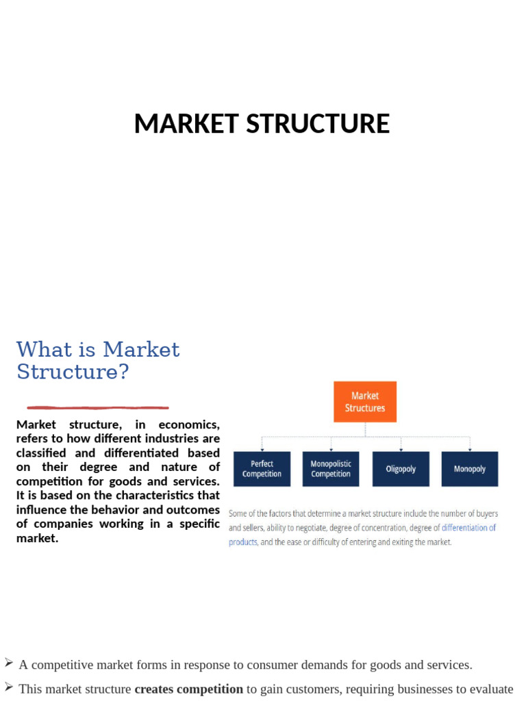 Understanding Market Structures in Economics | PDF | Monopoly | Market ...