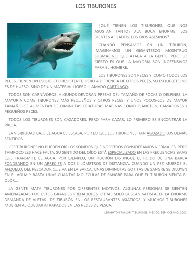 Mitos y realidades de los tiburones | PDF
