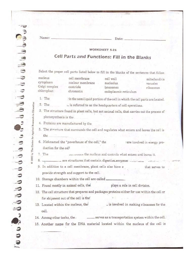 Cell Parts Review | PDF