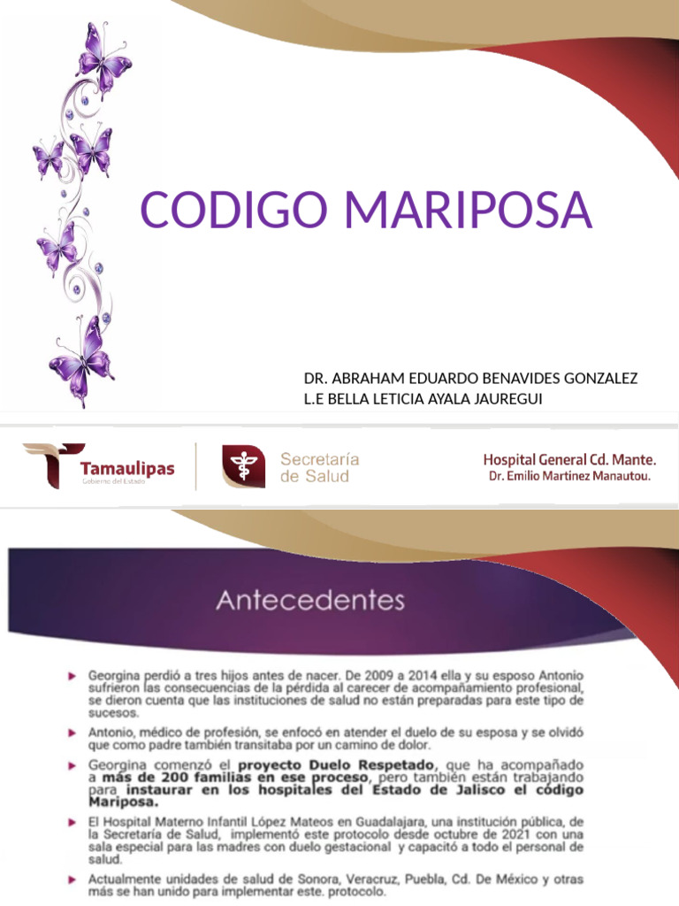 Codigo Mariposa HGM 1 | PDF