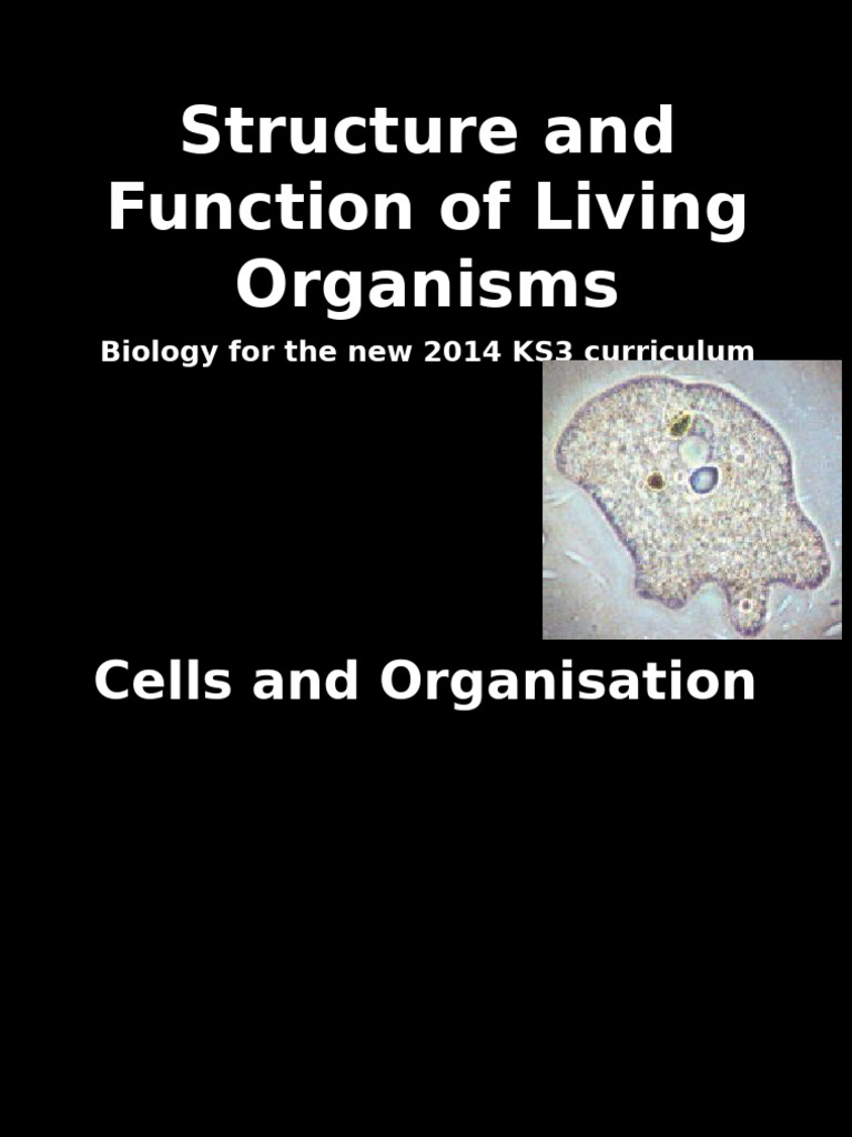Structure and Function of Living Organisms For 2014 KS3 | PDF ...