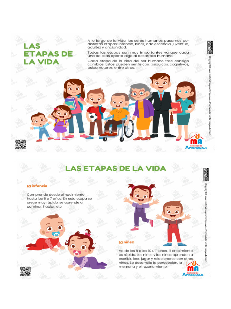 1 Etapas de La Vida | PDF