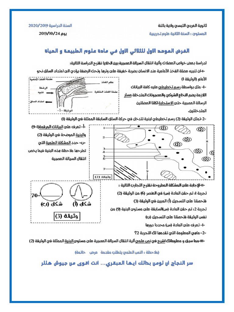 Dzexams 2as Sciences 2014033 | PDF