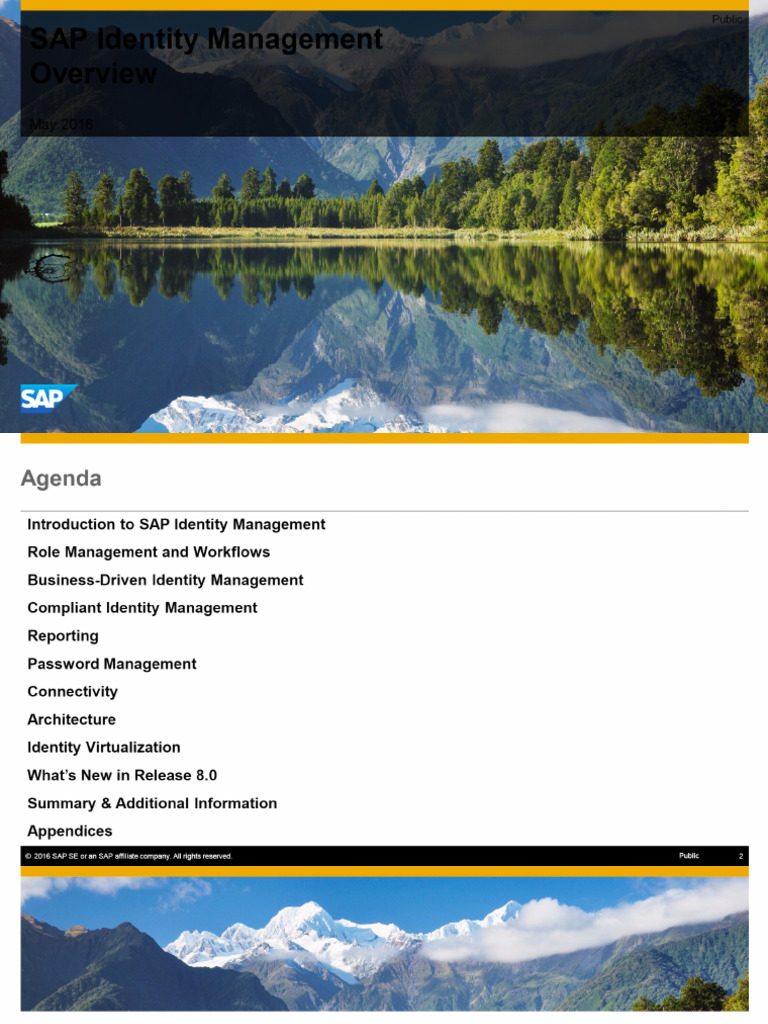 SAP Identity Management Overview 8.0 PDF | PDF