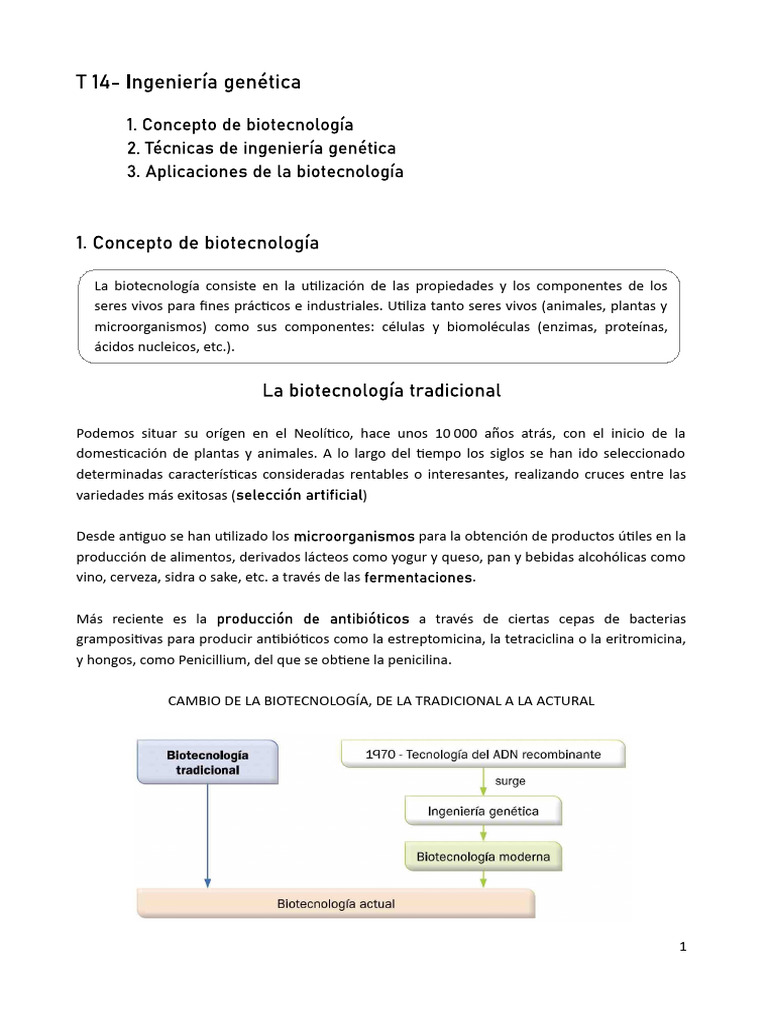 T15 Ingeniería Genética | PDF | Adn | Plásmido