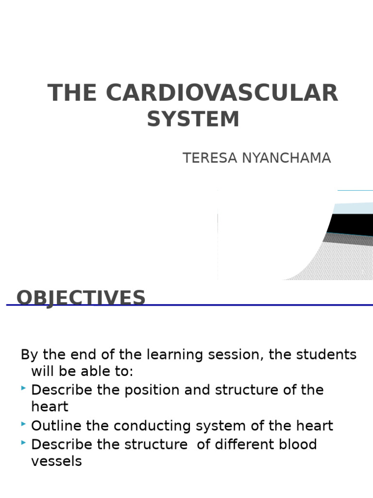 The Cardiovascular System | PDF | Heart Valve | Atrium (Heart)