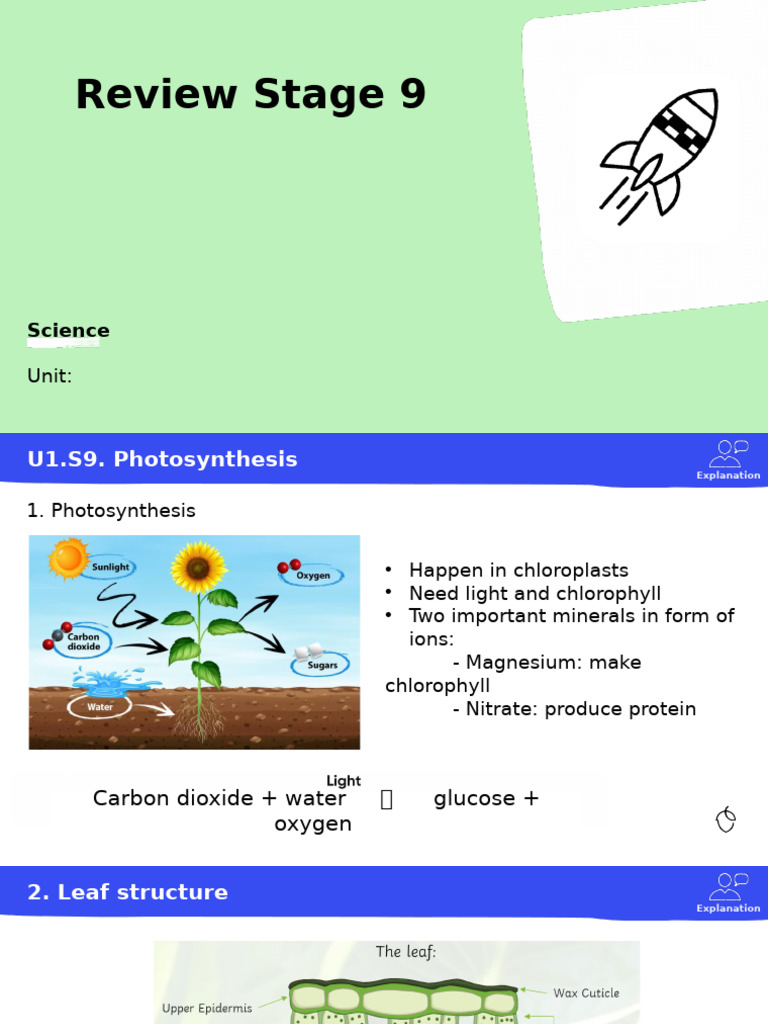 Science Unit 9: Photosynthesis & Reactions | PDF | Acid | Oxide