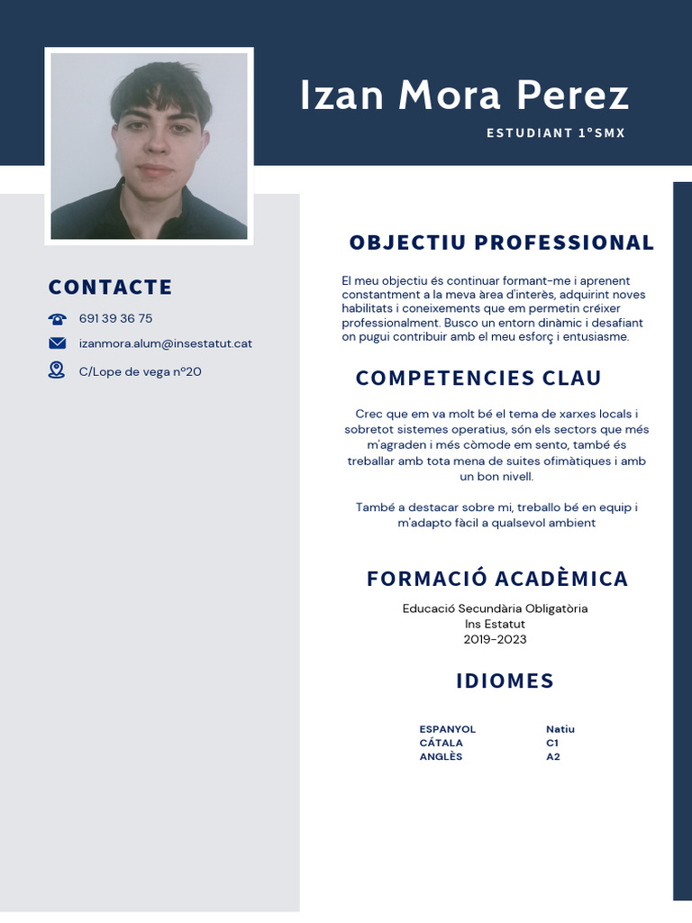 Currículum Vitae Asesor Financiero Profesional Corporativo Azul y Gris | PDF