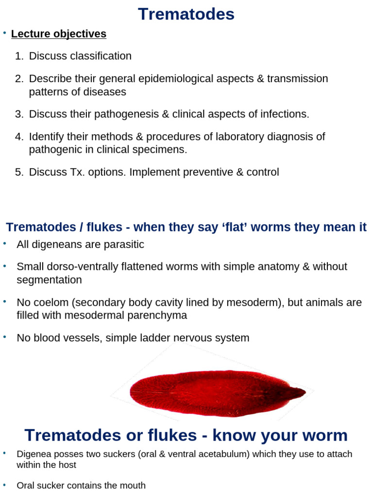 Final Final 2 Trematodes Final | PDF | Diseases And Disorders | Medical ...