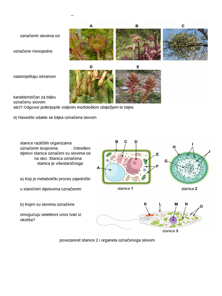 zadaci 7 - biologija | PDF