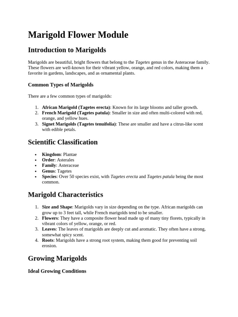 Marigold Flower Overview and Care Guide | PDF | Horticulture | Plants
