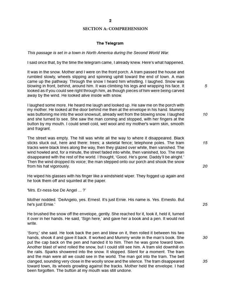 Reading and SPAG Paper Year 9 | PDF