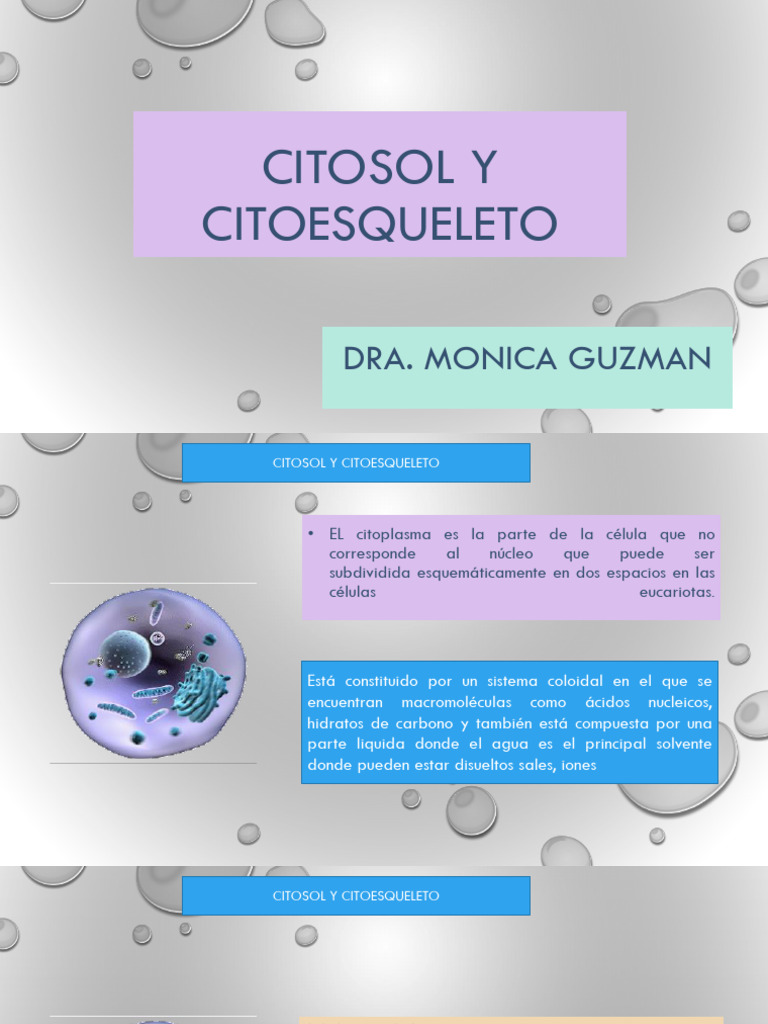 Clase 4. Citosol y Citoesqueleto | PDF | Ribosoma | Rna