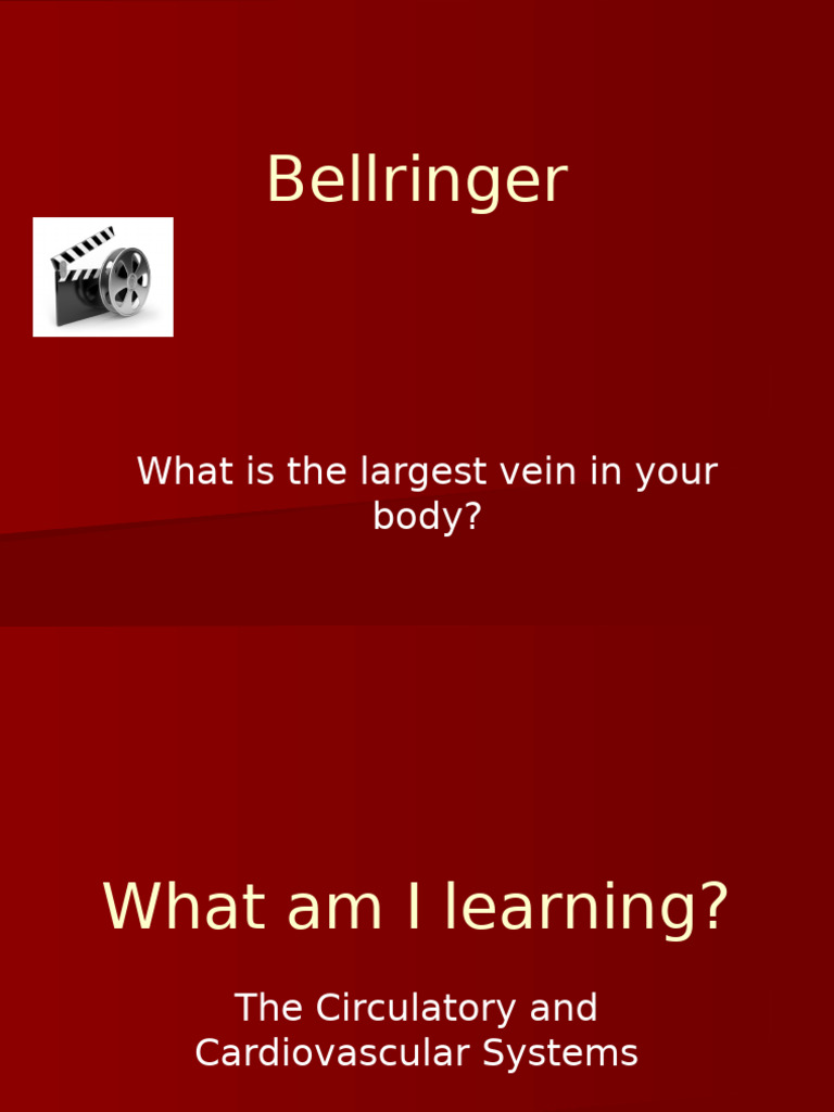 2 - Biology Lesson 8 - Circulatory System | PDF | Circulatory System ...