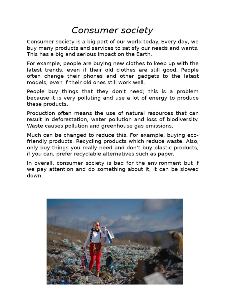 Consumer Society | PDF