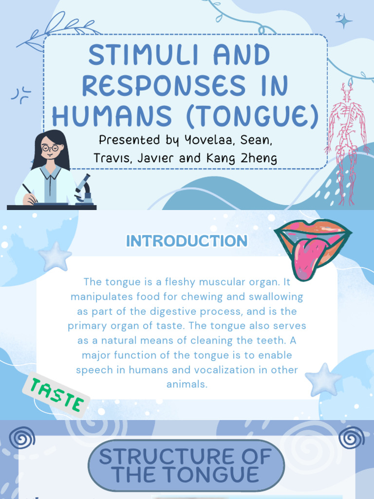 Stimuli and Responses in Humans | PDF