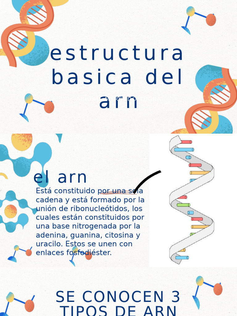Abigail Mercado 5 To B | PDF