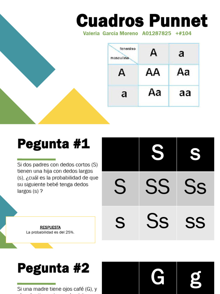 12.5 Cuadros Punnet | PDF | Cigosidad | Dominancia (Genética)