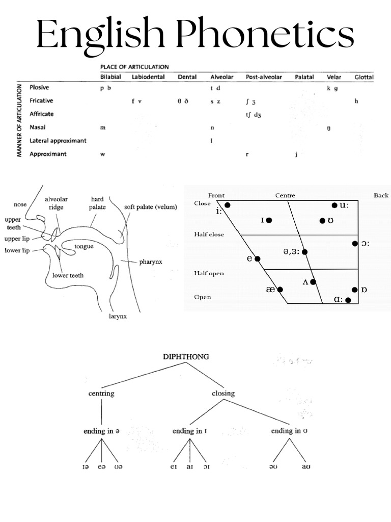 English Phonetics 1 | PDF