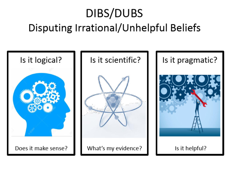 DIBS DUBS 3 questions | PDF