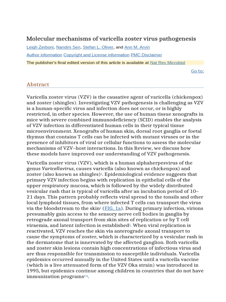Molecular Mechanisms of Varicella Zoster Virus Pathogenesis | PDF | Virus | Interferon