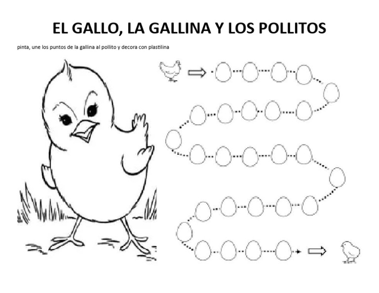 Pollito Guia | PDF