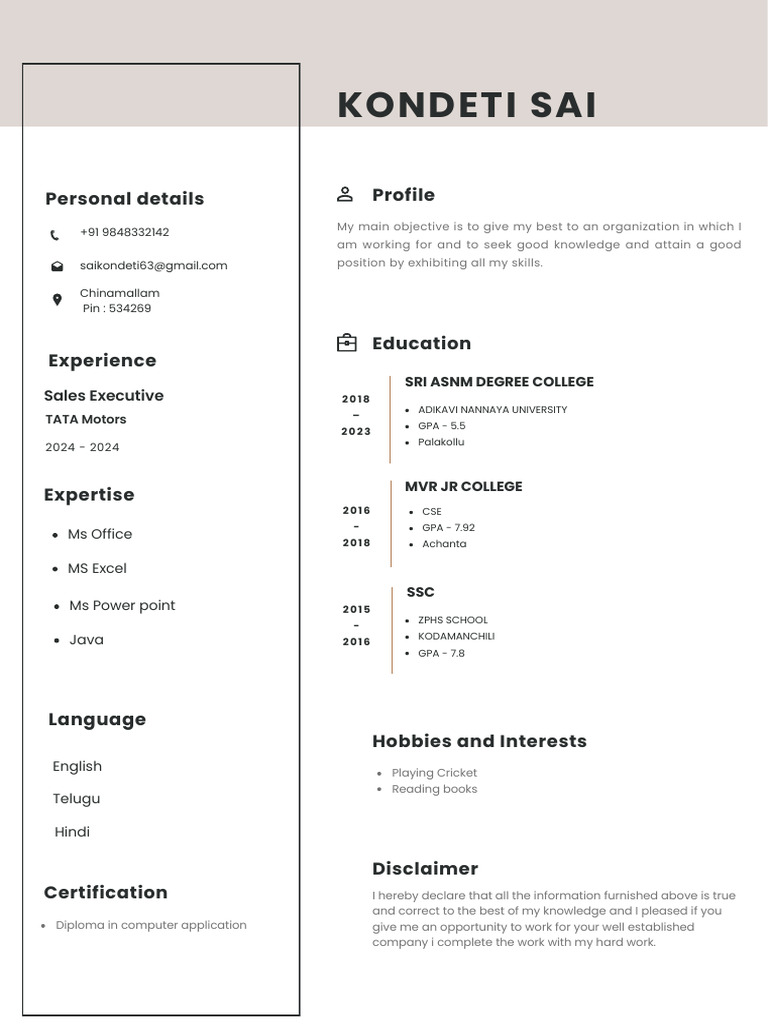 Simple Professional CV Resume | PDF