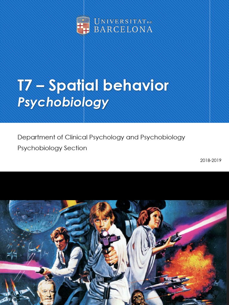 En T7 SpatialBehavior Pbio 1819 | PDF | Parietal Lobe | Hippocampus