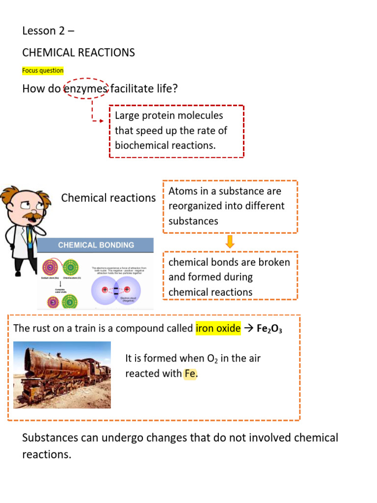 Enzymes and Chemical Reactions Explained | PDF | Chemical Reactions ...