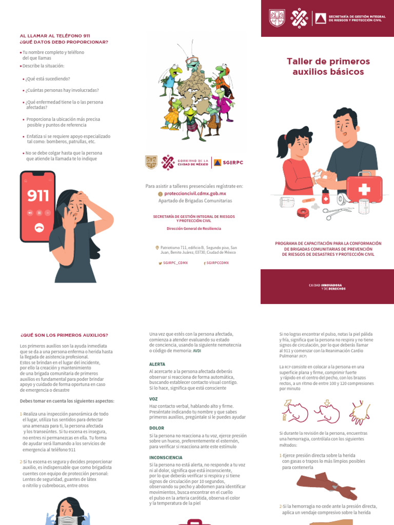 Primeros-auxilios-basicos | PDF | Reanimación cardiopulmonar