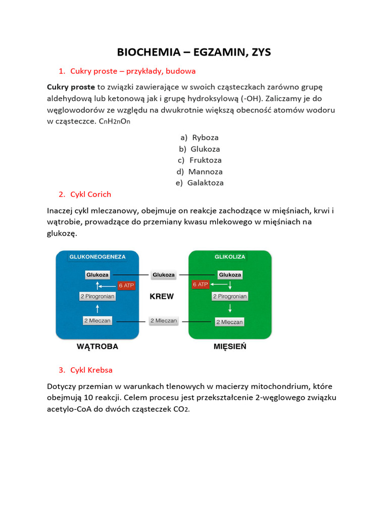 Biochemia egzamin | PDF