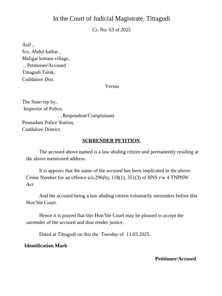 Surrender Petition | PDF