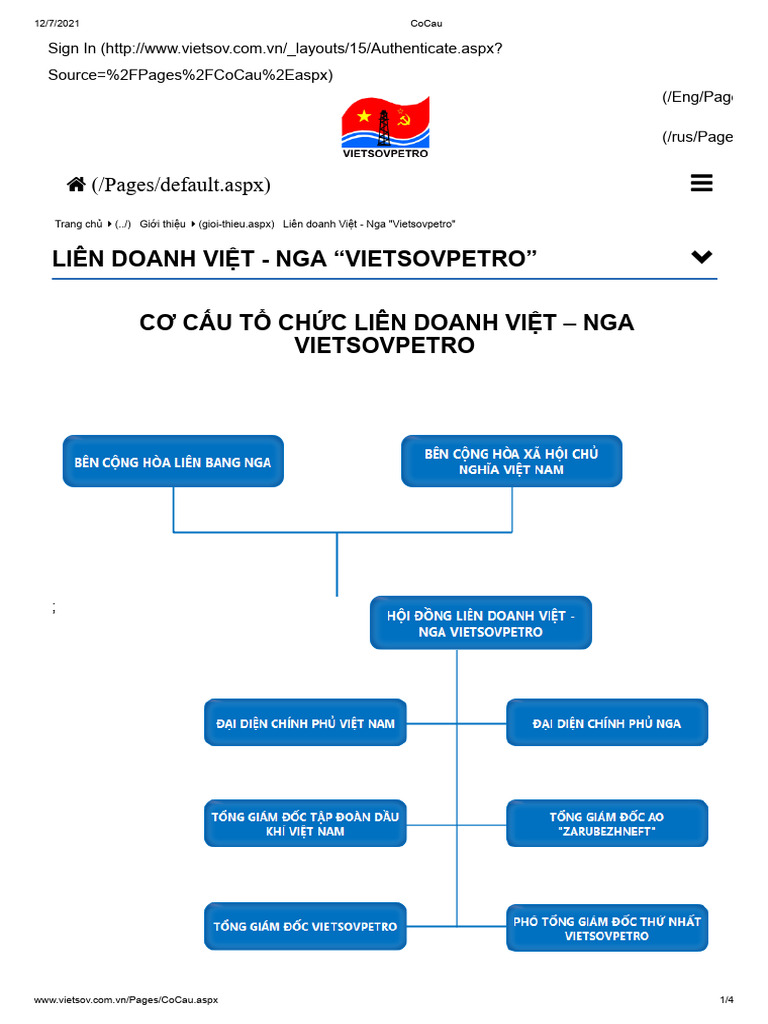 Co Cau To Chuc VSP | PDF