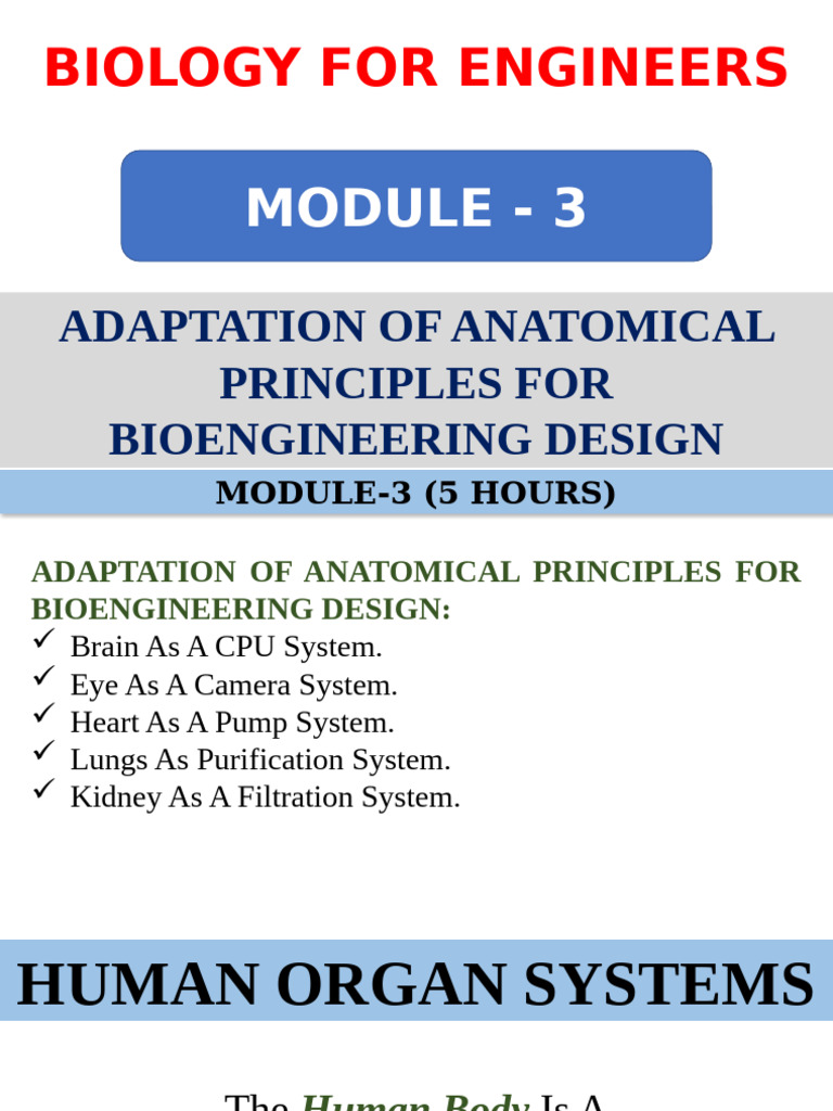 05_BOE_Module 3_Anatomical Principal BD part 1 - Copy | PDF | Nervous System | Central Nervous ...