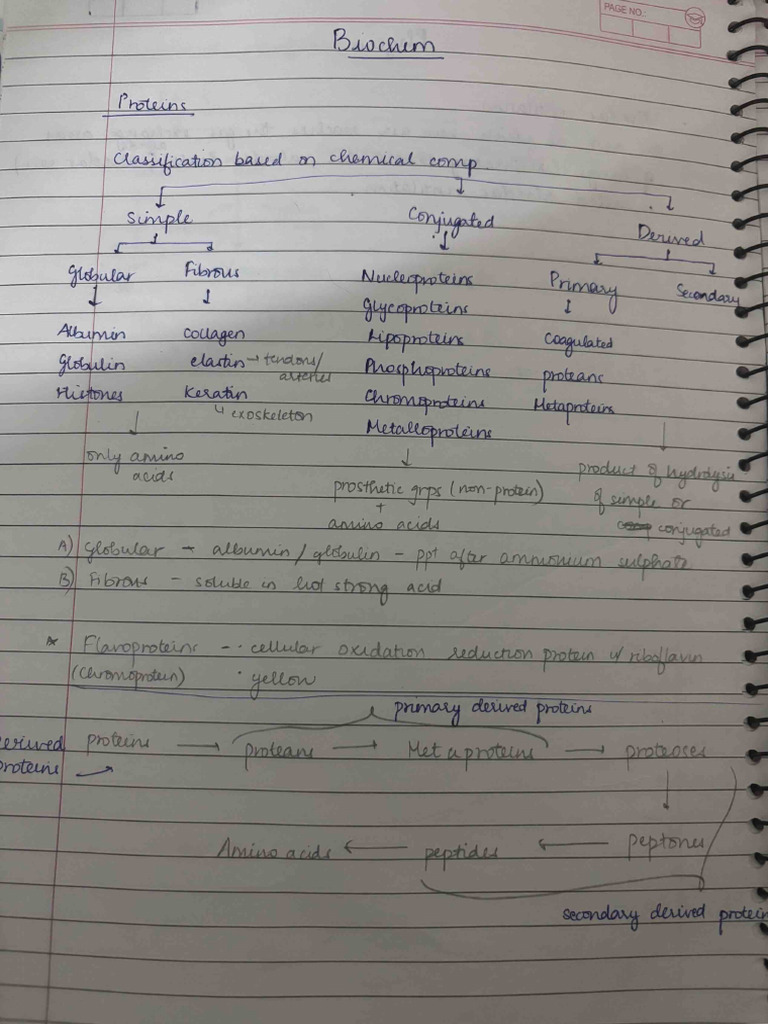Biochem PT 1 | PDF