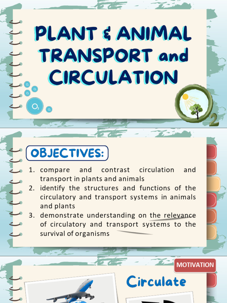 Group 3 PPT Gen Bio 2 STEM Garnet (1) | PDF | Circulatory System | Blood