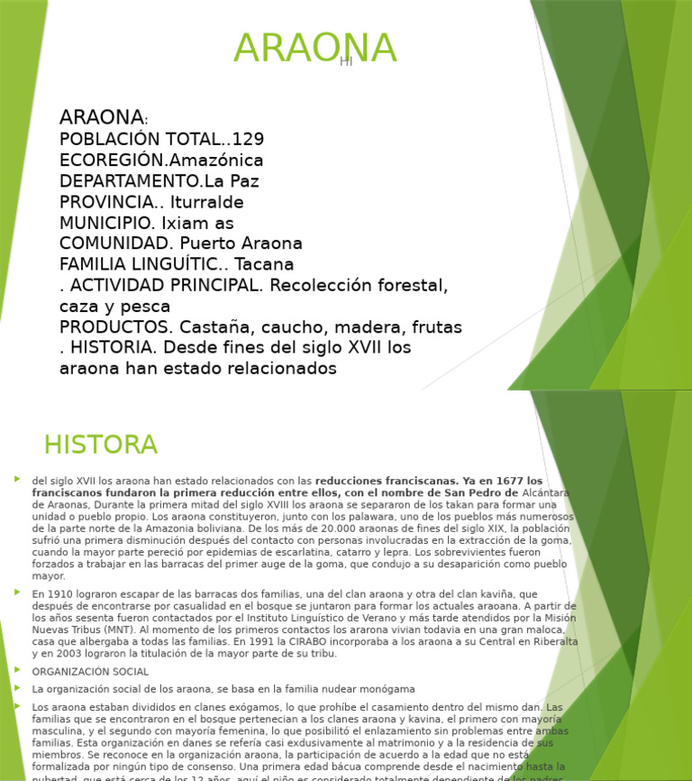 Historia y cultura de los Araona en Bolivia | PDF | América del Sur ...