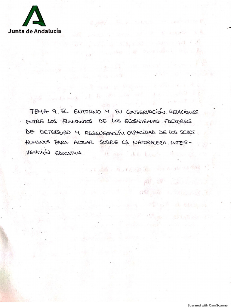 Tema 9 Cristina Olid | PDF