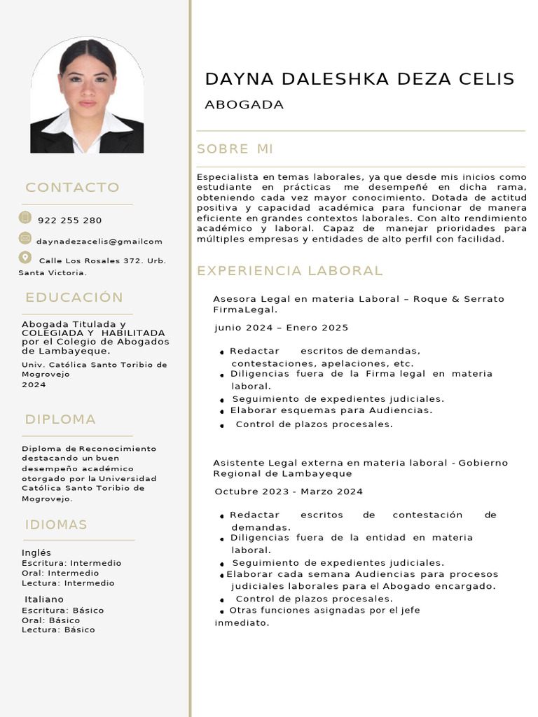 Curriculum Vitae Contadora Minimalista Blanco y Nude | PDF | Gobierno | Práctica de la ley