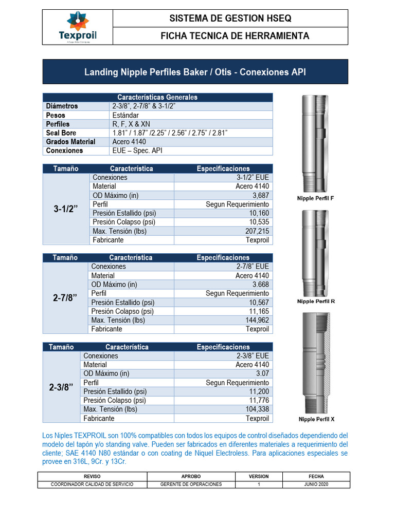 Hseq-Ficha Tecnica Landing Nipple | PDF | Informática