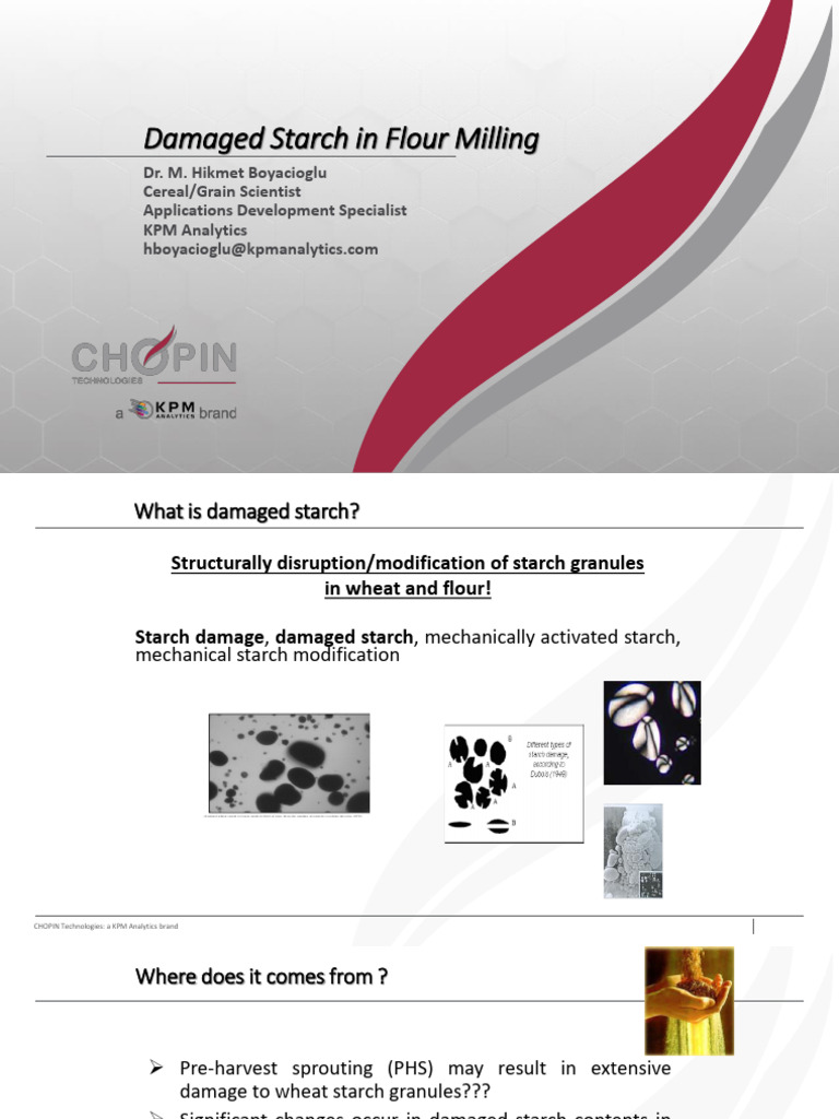 Understanding Starch Damage in Flour Milling | PDF | Breads | Starch