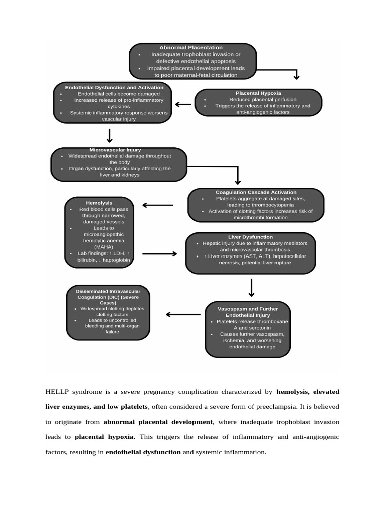 Understanding HELLP Syndrome in Pregnancy | PDF | Hematology | Blood