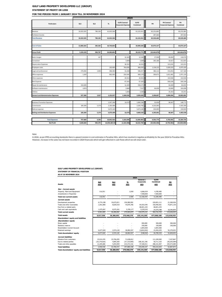 GLPD_Group_for_the_year_till_Nov._24-_Comprehensive_F | PDF | Equity ...
