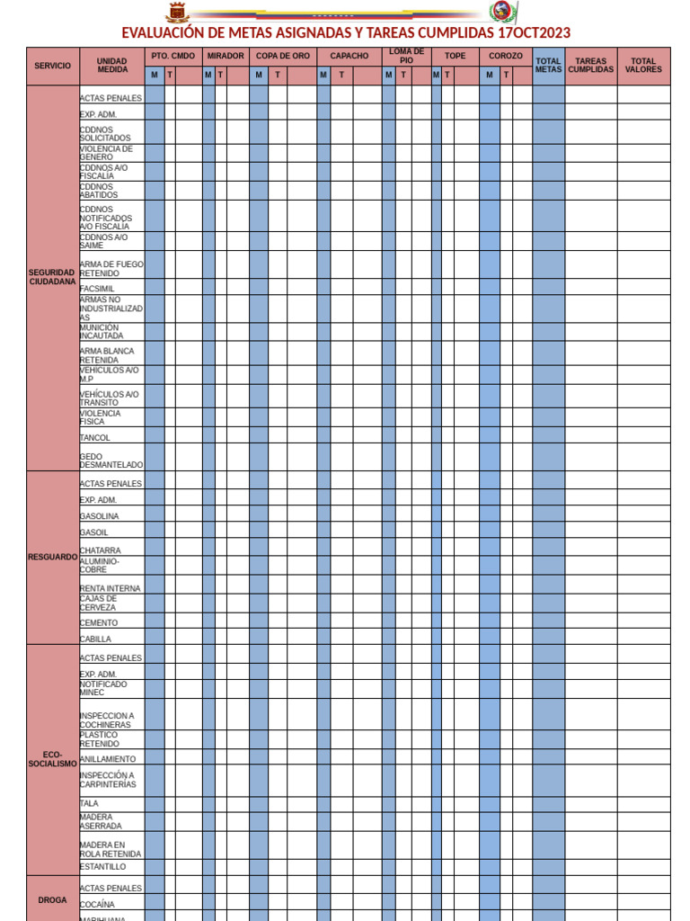 Evaluacion Metas y Tareas Formato en Blanco | PDF