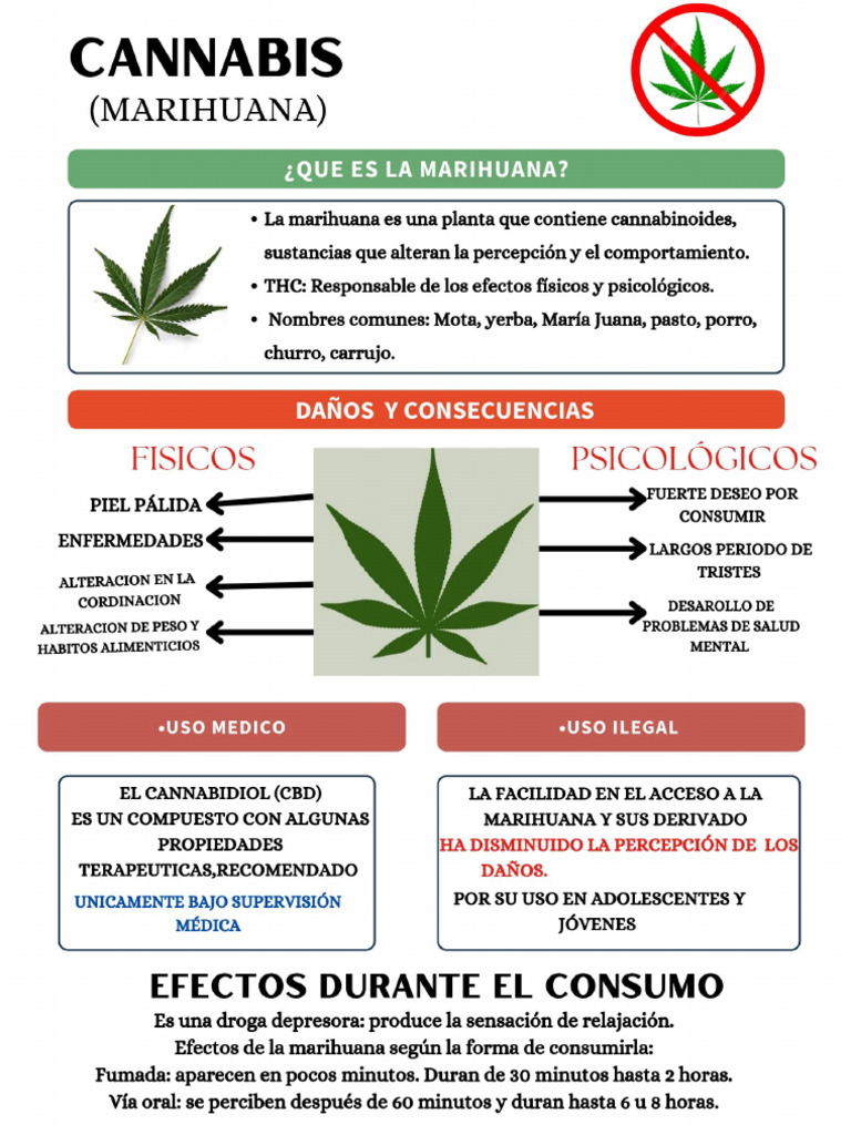 Tabloide Cecilia PDF 20250305 160551 | PDF