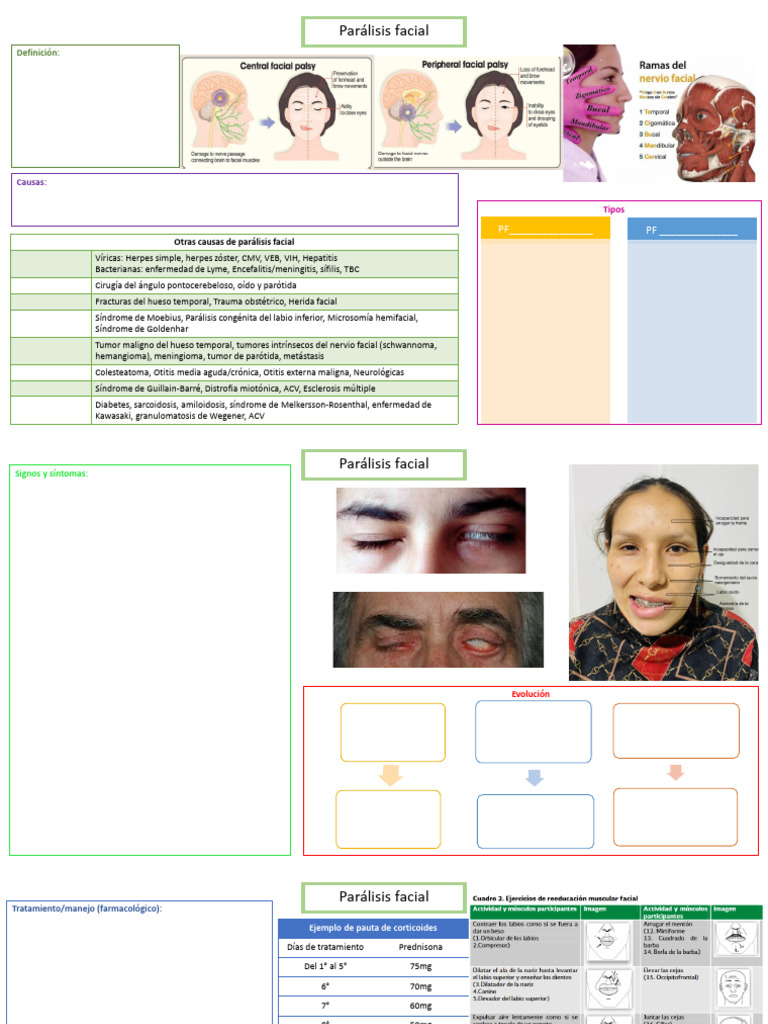 Par-Lisis Facial - para La Clase | PDF | Síndrome | Sistema nervioso